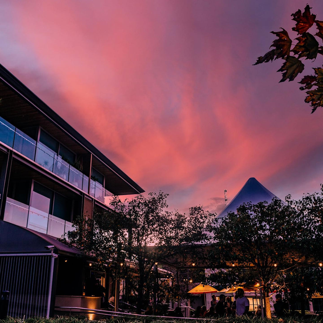 Steves Bar, Restaurant & Winestore | Perth Dining & Wine Experts